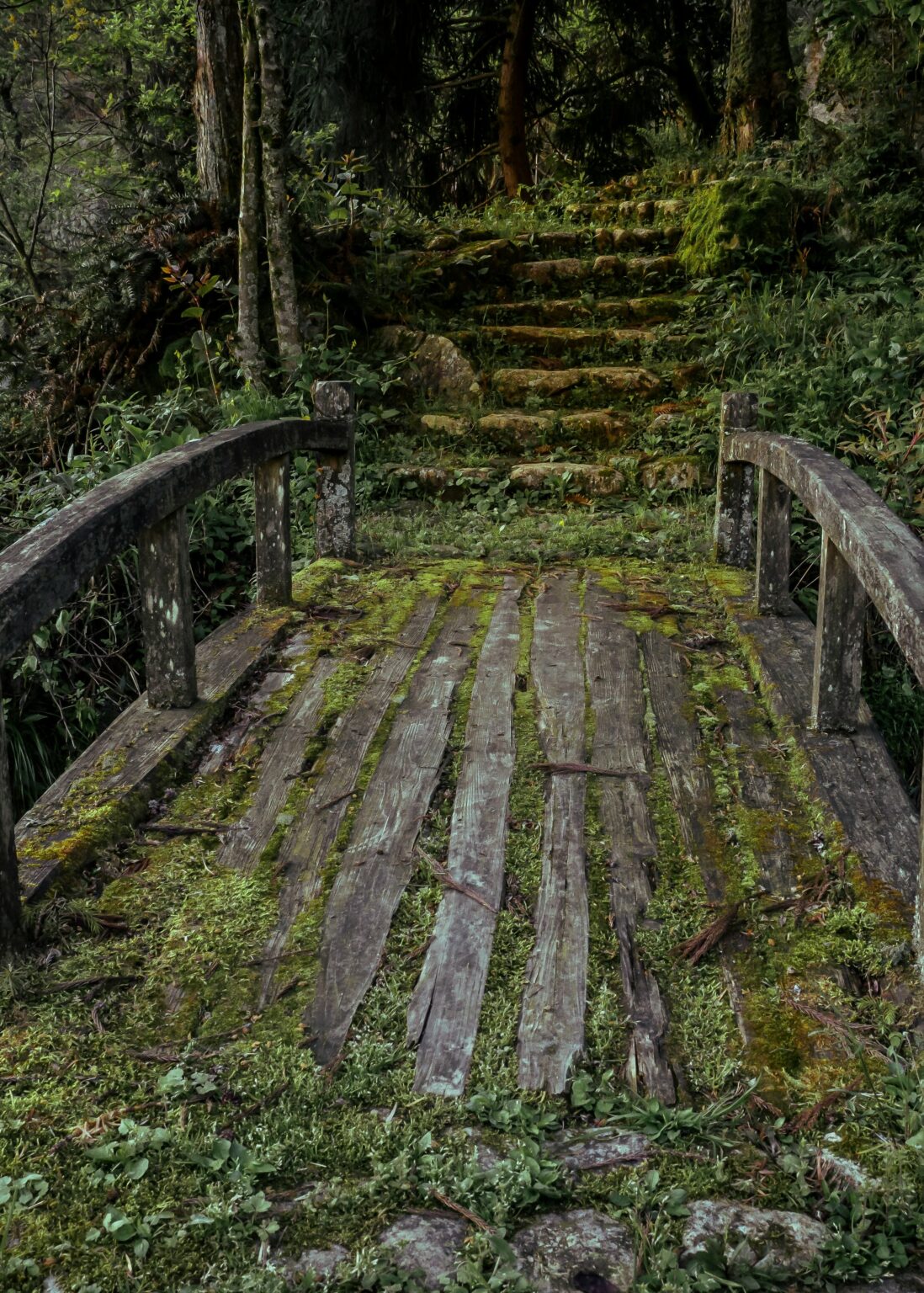 Conferences – Noble Collective