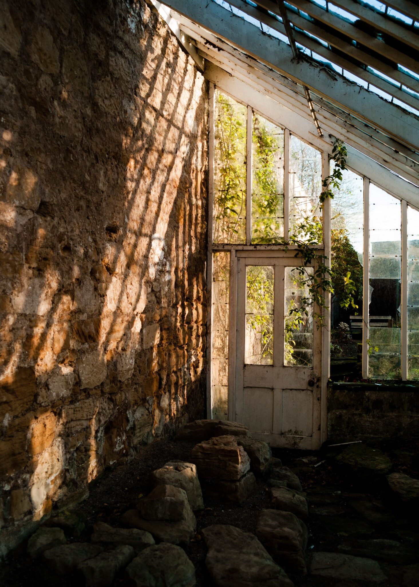 Conferences – Noble Collective